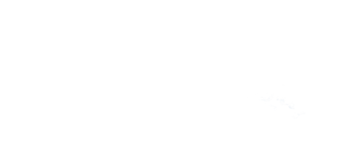 Frasca History - Frasca Flight Simulation